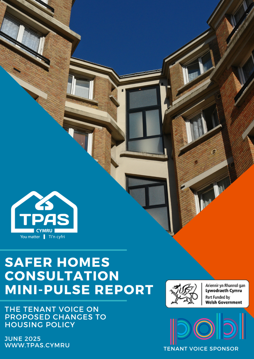 Our Mini Tenant Pulse Report on creating safer homes is now